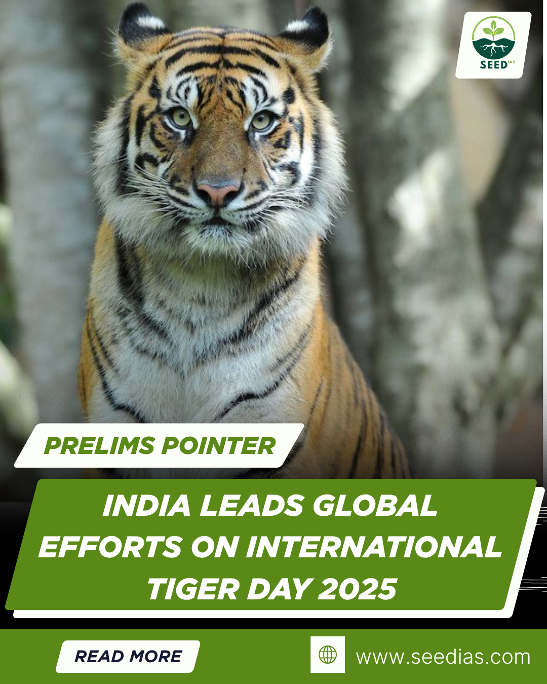 India Leads Global Efforts on International Tiger Day 2025 Newsletter ...