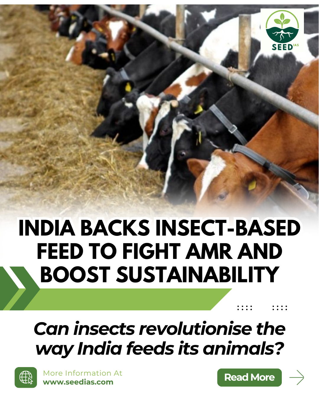 India Backs Insect-Based Feed to Fight AMR and Boost Sustainability ...