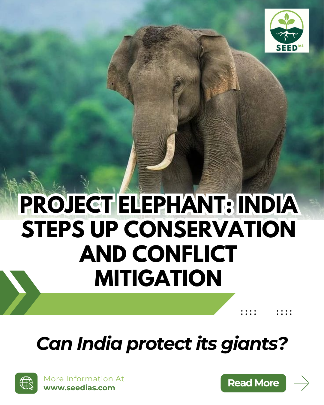 Project Elephant: India Steps Up Conservation and Conflict Mitigation ...