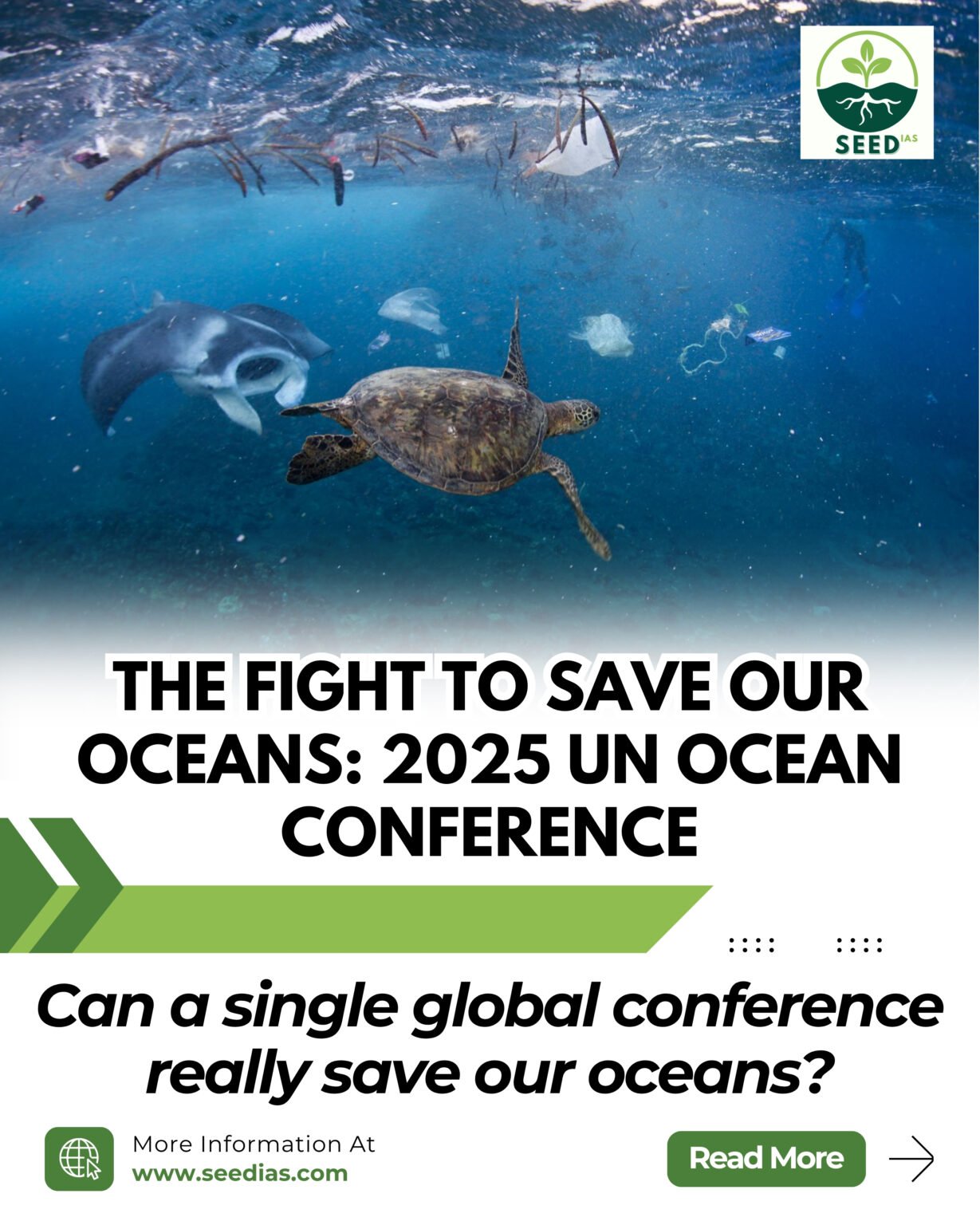 2025 UN Ocean Conference and the Fight to Save Our Oceans Newsletter ...